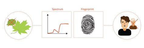 How Does Spectral Sensing Work Understanding The Basics Of Spectroscopy And Spectral Sensors