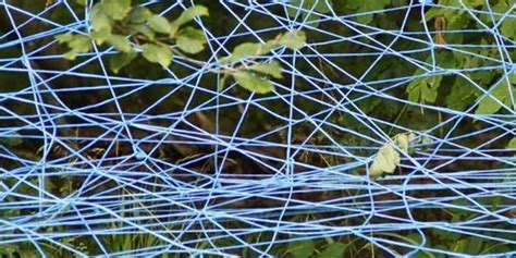 adding a dynamic sitemap xml to a next js site dev community