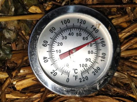 23 Fascinating Facts About Composting You Probably Didnt Know