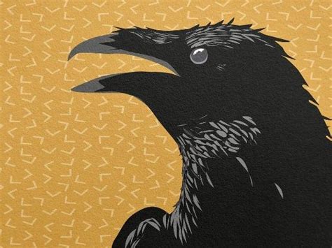 Crow Country By Kate Constable Ch 4 6 Novel Study Teaching Resources