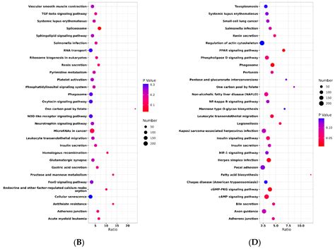 Genomic Scan For Runs Of Homozygosity And Selective Signature Analysis To Identify Candidate