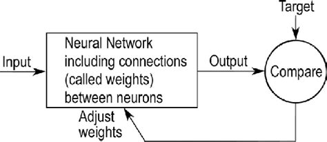 flow chart of training procedure in a supervised neural network matlab