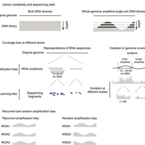 non uniformity in genome coverage and its impact on the sequencing