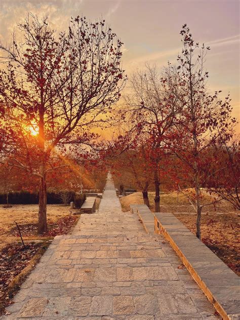 Autumn In Bagh E Babur Kabul 🇦🇫 Rpashtun