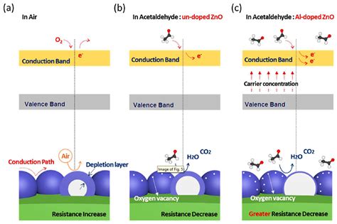 Chemosensors Free Full Text Nanostructured Semiconducting Metal Oxide Gas Sensors For