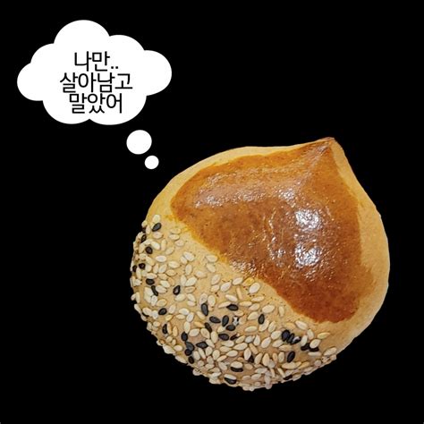 케이크 디아망 On Twitter 유일하게 만쥬만큼은 유기농 밀가루로 제작되지 않아서 무사합니다 이상하게 꼭 유기농 밀가루로 만쥬를 제작하면 오븐에서 버티지 못하고