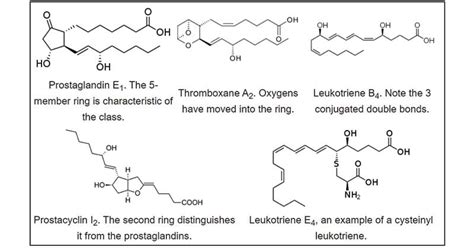 Eicosanoids Definition Classes Functions Synthesis