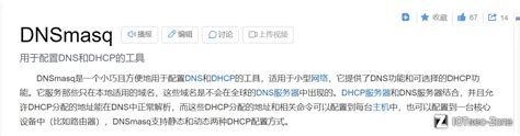 从一道ctf题目看dns服务漏洞 Iotsec Zone