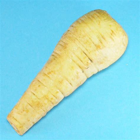 Parsnip