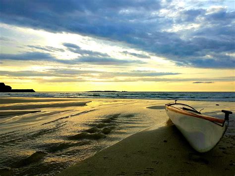 Alex Hedges Miller Research Uk