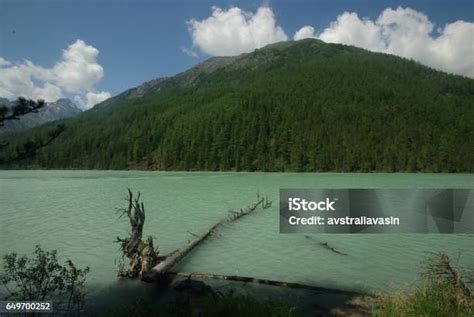 호수 근처 아름 다운 산 풍경입니다 산악 호수 산악 지형 및 계곡의 물 종류 0명에 대한 스톡 사진 및 기타 이미지 0명 관광 나무 Istock