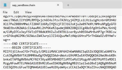 SAP GUI Single Sign On Based On SSL Certificates A SAP Community