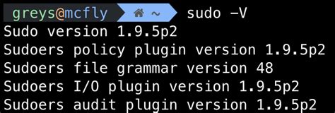 Patched Sudo Privilege Escalation Vulnerability CVE