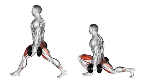 Atg Split Squat The Ultimate Leg Exercise Kensui