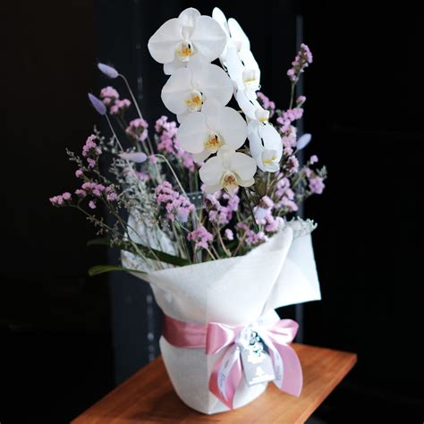 Phalaenopsis White Single Stem Bloom Bouquet And Flower