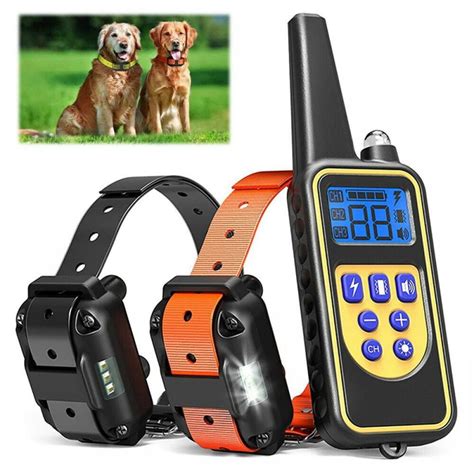Dog Shock Collar Trainer At Mae Burley Blog
