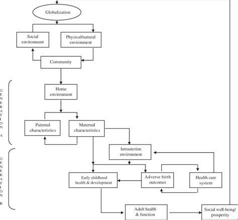 Multilevel Conceptual Framework Of Determinants And Consequences Of Download Scientific Diagram