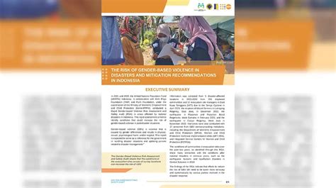 Unfpa Indonesia Bnpb Technical Guideline No 92023 On The Sex Age
