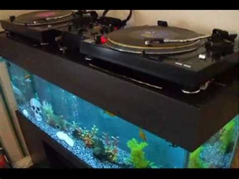 Fm Transmitter YouTube