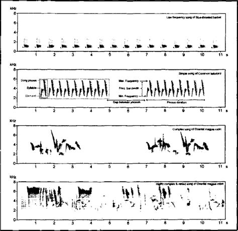 Different Types Of Songs In Birds And Measurement Of Variables A Low Download Scientific