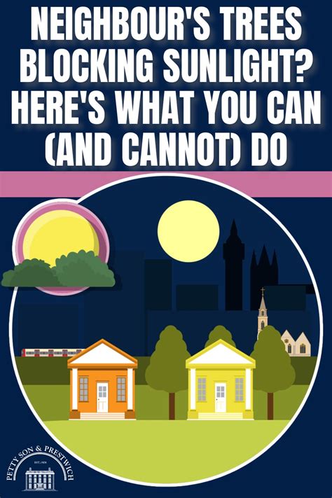 Neighbour S Trees Blocking Sunlight Here S What You Can And Cannot Do