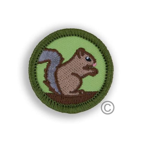 Rain Demerit Badge 15 Diameter Embroidered Patch Etsy