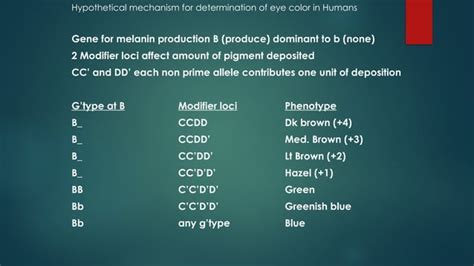 Polygenic Inheritance Genetics Mendelianpptx