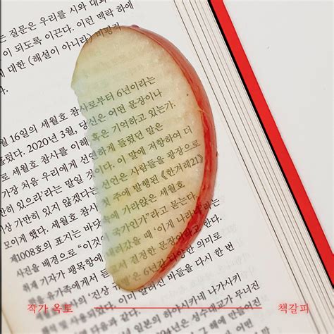 파도 작가 옥토 책갈피 사과 조각 위시버킷