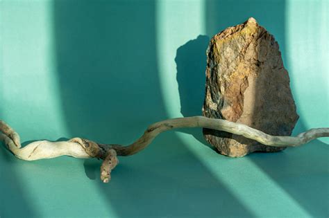 구성 빈 연단 재료 나무와 돌 제품 프레젠테이션 배경 베이지 그린 천연 소재에서 아름 다운 배경입니다 공연에 대한 스톡 사진 및