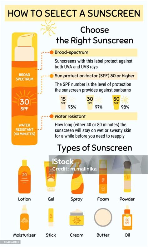 Vetores De Como Escolher E Aplicar O Protetor Solar Infográfico Tipo De