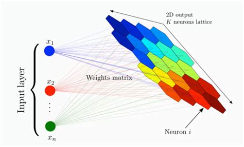 Demystifying Neural Networks Self Organizing Maps By Dagang Wei Medium