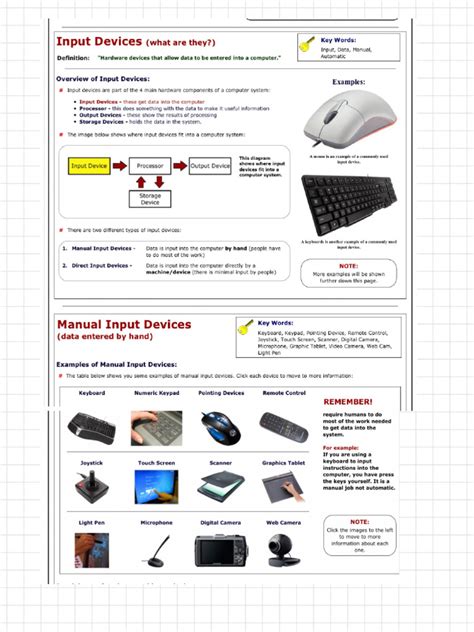 Manual Input Devices And Direct Input Devices Download Free Pdf