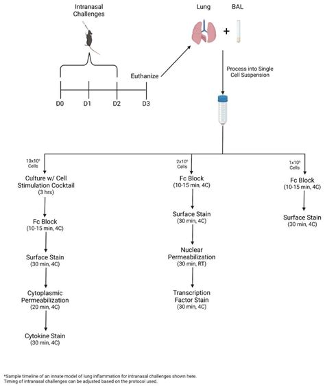 Bio Protocol 2023年7月20日最新上线实验方案目录 知乎