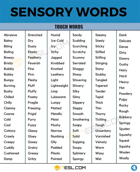 5 Senses Anchor Chart Collecting Descriptive Words St Vrogue Co
