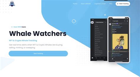 5 Crypto Whale Tracker Untuk Mengamati Pergerakan Pasar Pintu Academy