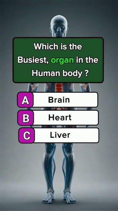 Trivia Quiz Shortsfeed Ytshorts Shortsbeta Quizchallenge Youtubeshorts Quizgames Quiztime