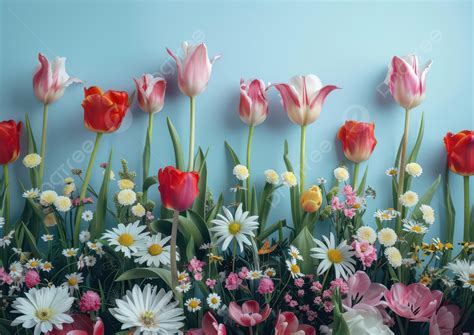 파란색 배경에 다양한 꽃의 생동감 넘치는 배열 꽃들 튤립 데이지 배경 일러스트 및 사진 무료 다운로드 Pngtree