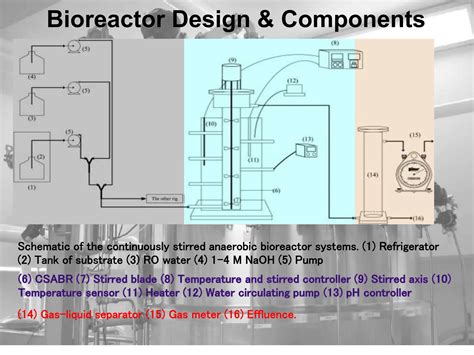 Bioreactoronbioprocessengineeringppt
