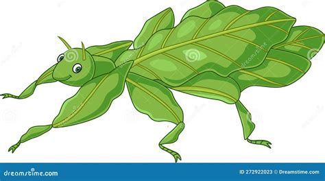 Phasmida Cartoons Illustrations And Vector Stock Images 25 Pictures To