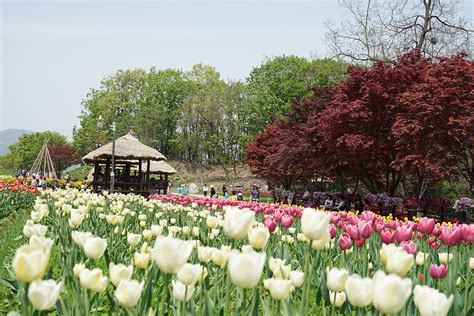 가족과 함께하는 봄나들이 견학
