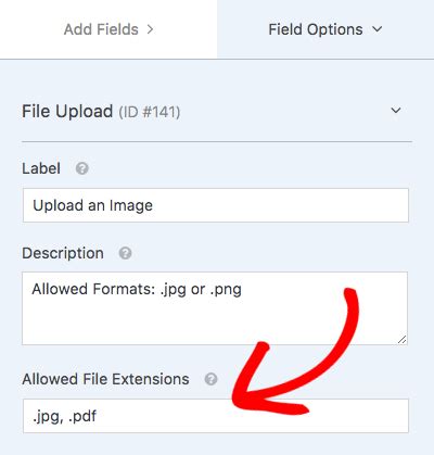 A Complete Guide To The WPForms File Upload Field