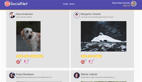 GitHub Social Network Social Network Using The Dummy API