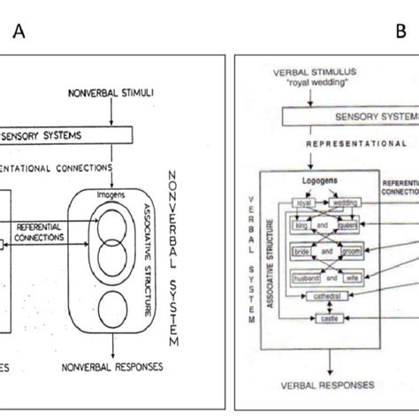 In Dual Coding Theory Verbal And Nonverbal Symbol Systems Are Linked By