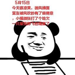 Python format函数 猿说编程