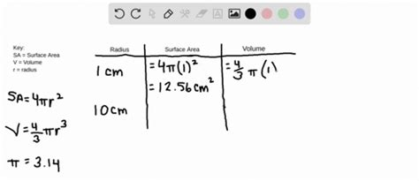 SOLVED Applying Concepts Using Your Knowledge Of The Relationship Between Surface Area And