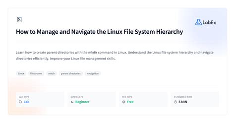 How To Manage And Navigate The Linux File System Hierarchy Labex