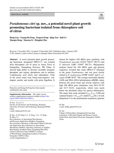 Pseudomonas Citri Sp Nov A Potential Novel Plant Growth Promoting