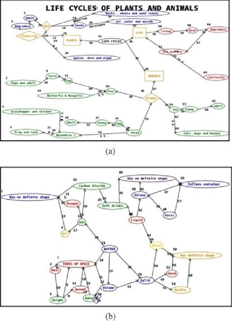 A Concept Map In Topic Of Life Cycles B Concept Map In Topic Of A Concept Map In Topic Of Life Cycles B Concept Map In Topic Of