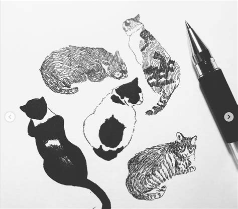 Pen And Ink Drawing Of Cats Ink Cat Drawing How To Draw Cats With