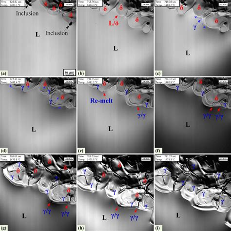 N Situ Observation Results During Solidification Of The Experimental Download Scientific